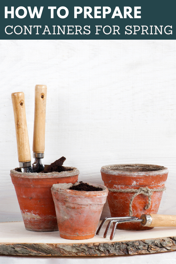 How to Prepare Containers for Spring