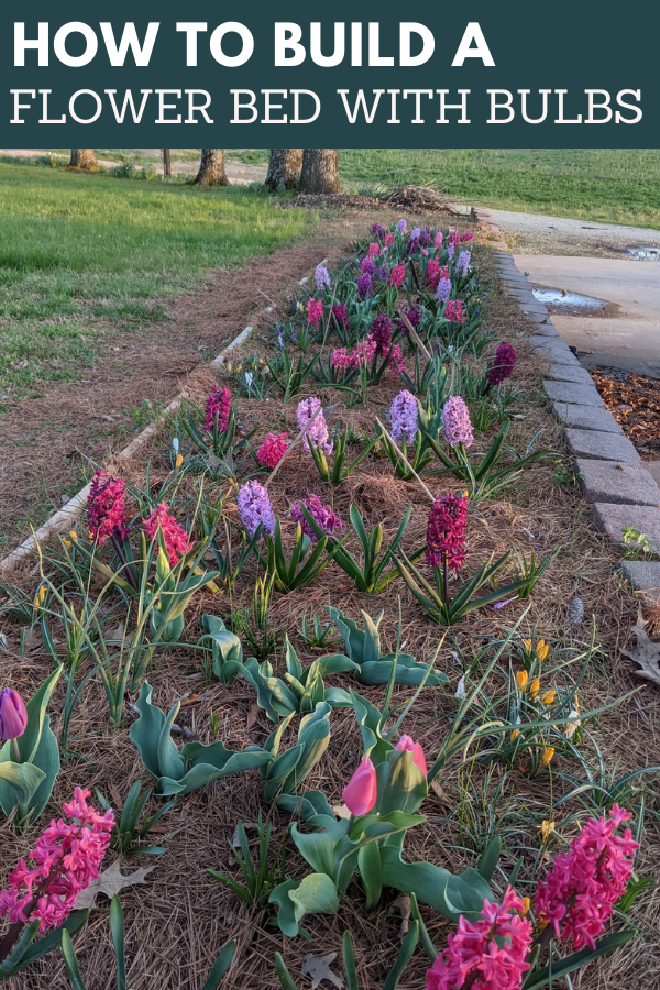 How to Prepare a Better Flower Bed with Spring Bulbs
