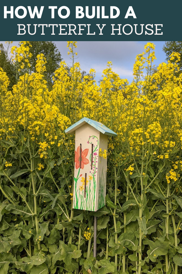 DIY Butterfly House