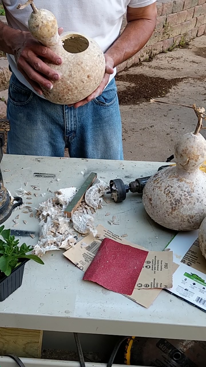 DIY Hanging Gourd Flower Pot