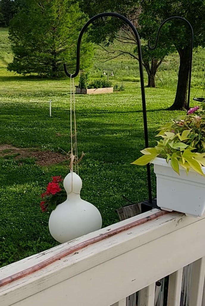 DIY Hanging Gourd Flower Pot