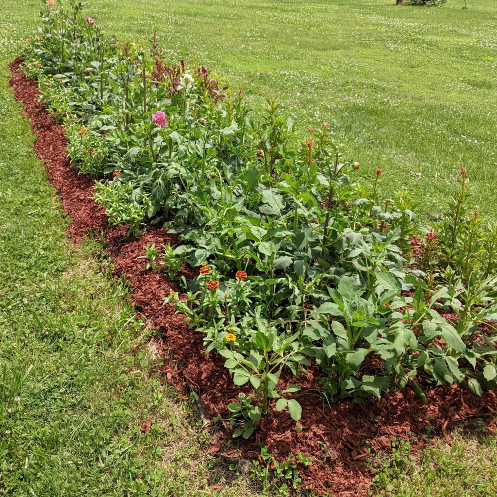 How to Make a Flower Bed Over Grass