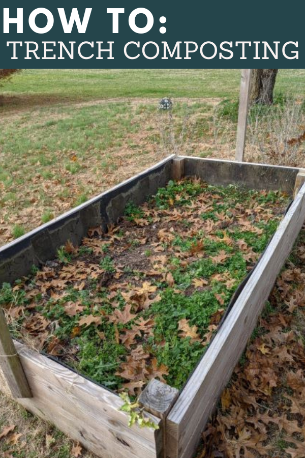 How to Trench Compost in a Raised Garden Bed