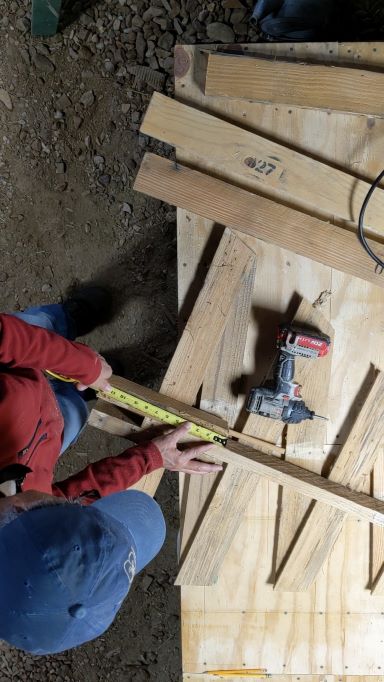 DIY Two Christmas trees from one pallet