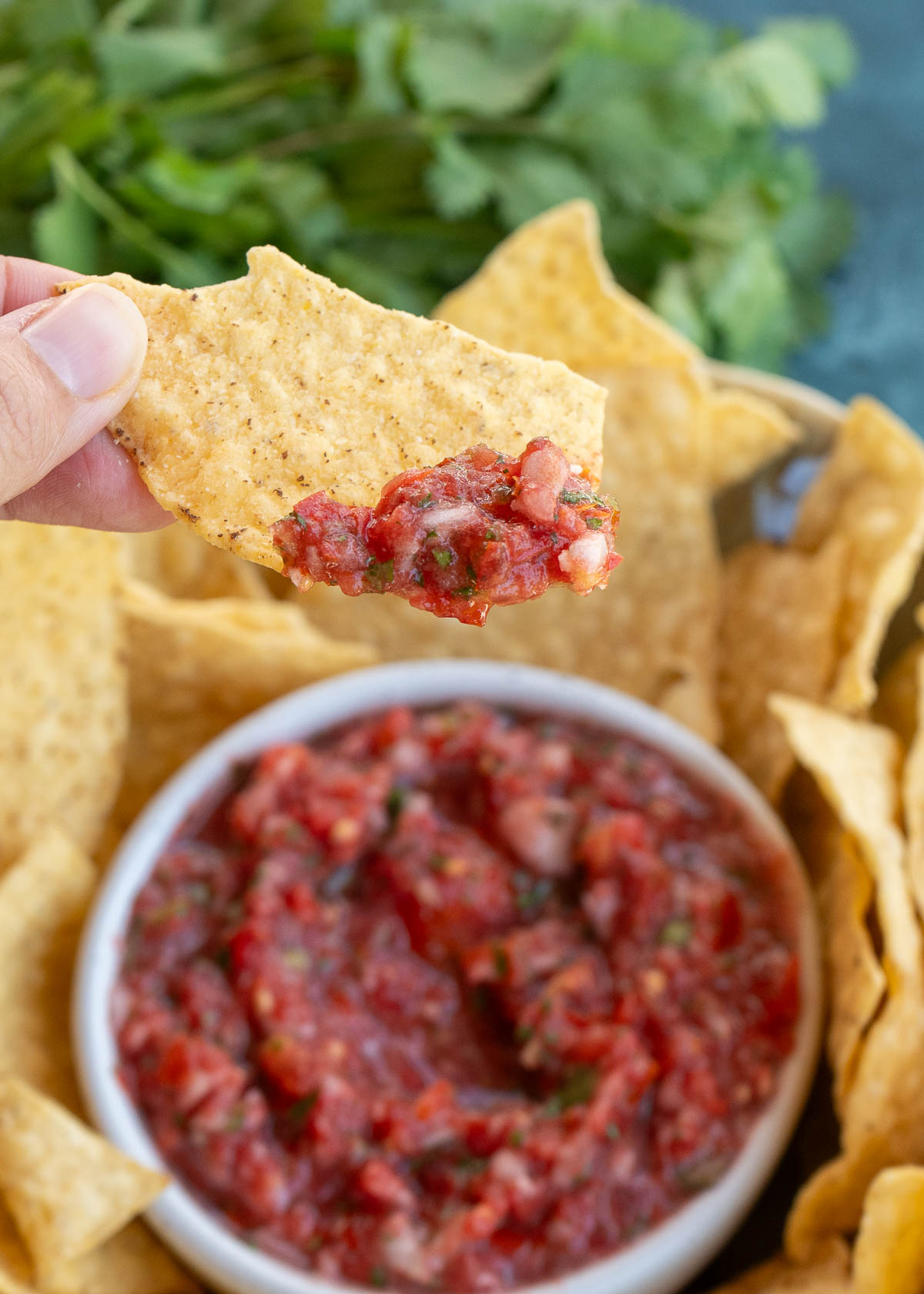 The BEST Mild Salsa Recipe