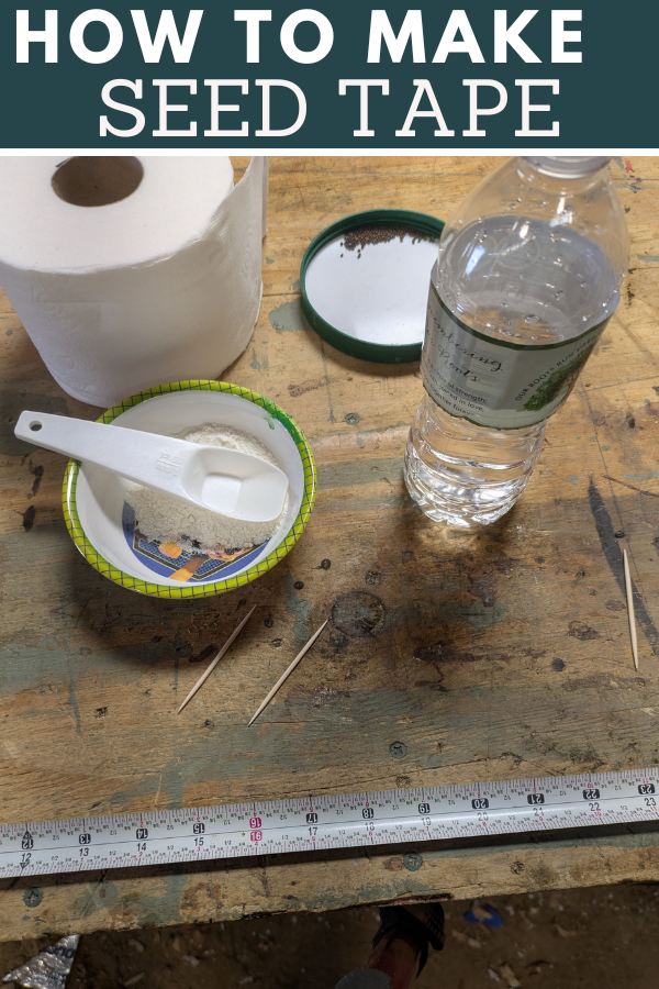 How to make Seed Tape