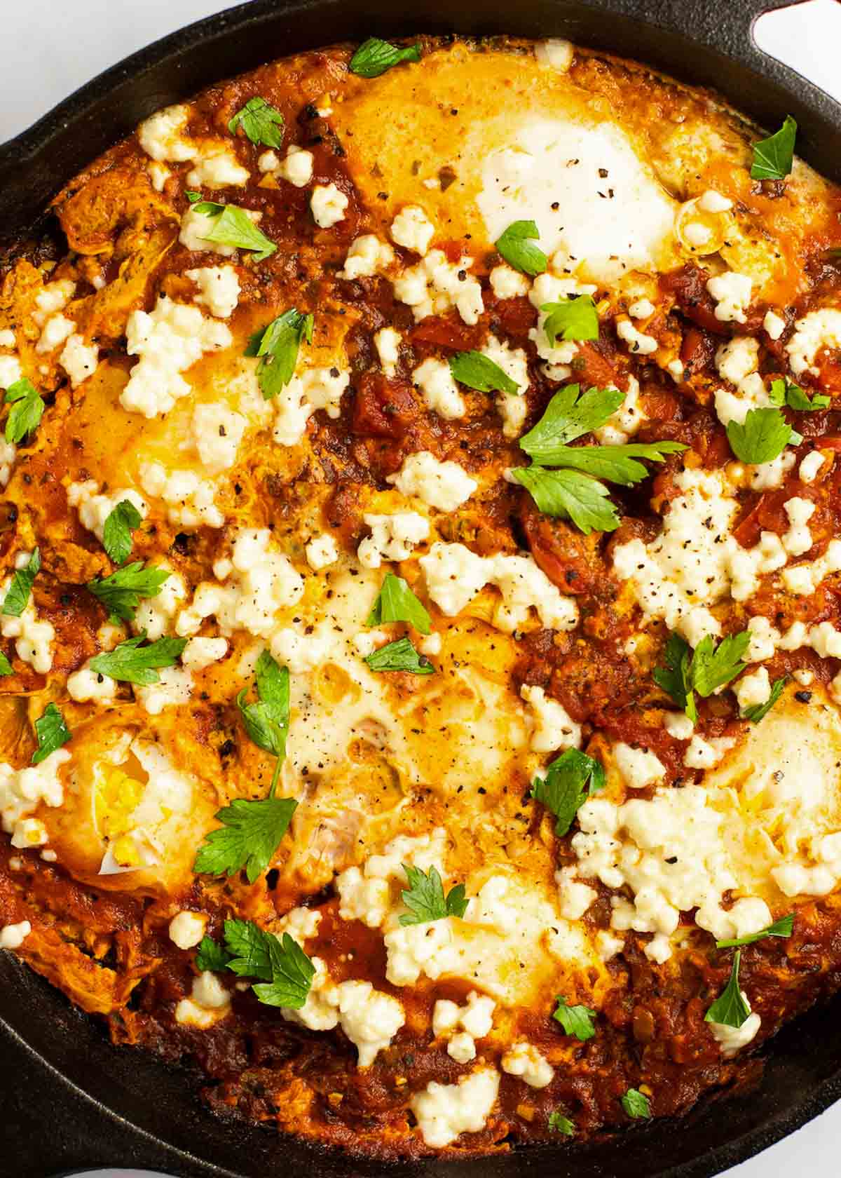 Easy Shakshuka Recipe for Beginners